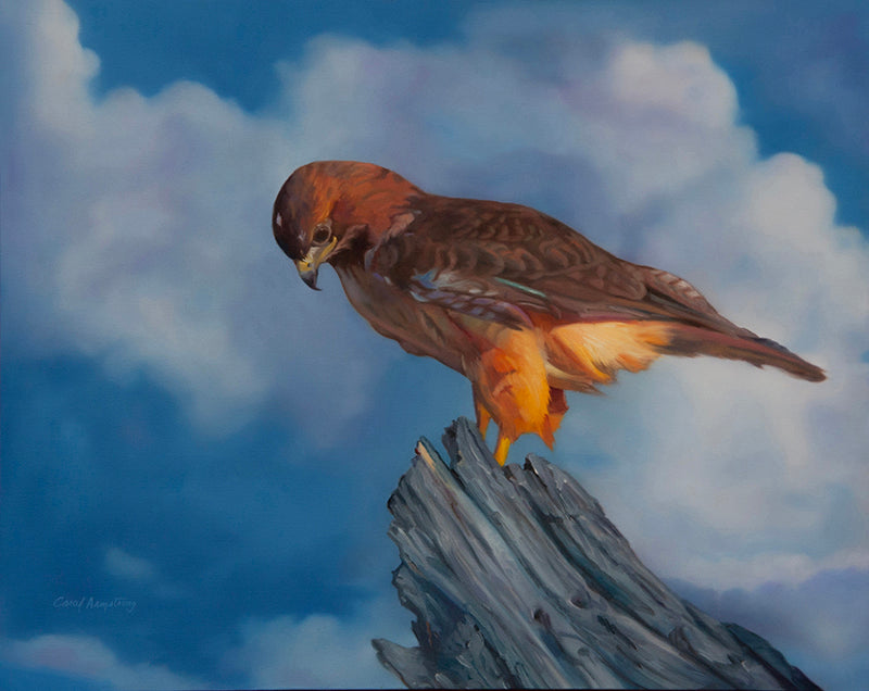 "Day Watch" – Exhibit C